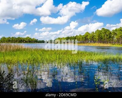 Webb Lale in the Fred C. Babcock/Cecil M. Webb Wildlife Management Area ...