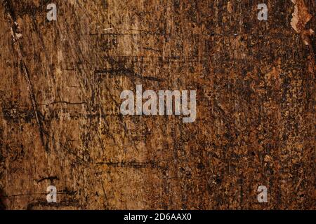 A close up photograph of the burnt bark of a pine tree, showing the ...