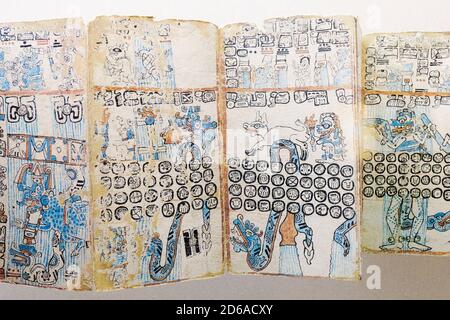 Detail of a facsimile of the 14th century Mayan Codex Cortesianus, also ...