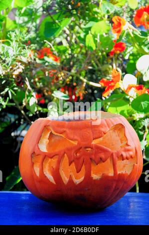 Portland. 15th October 2020. Halloween. A scary Jack O' Lantern in a ...