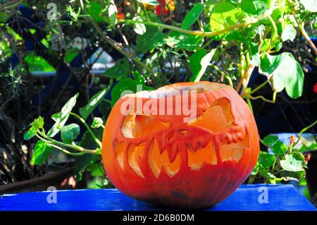 Portland. 15th October 2020. Halloween. A scary Jack O' Lantern in a ...