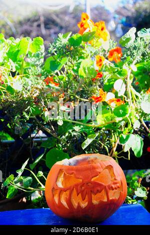 Portland. 15th October 2020. Halloween. A scary Jack O' Lantern in a ...