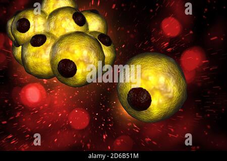 Healthy white human fat cells also known as adipocytes 3d illustration ...