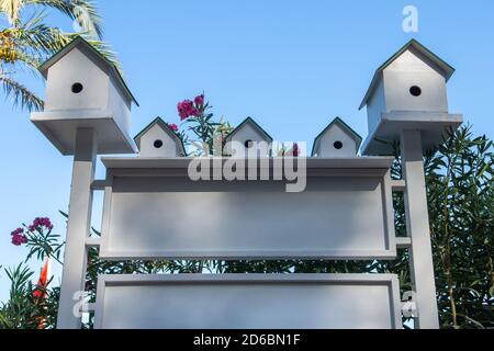 bluetit at it's house Stock Photo - Alamy
