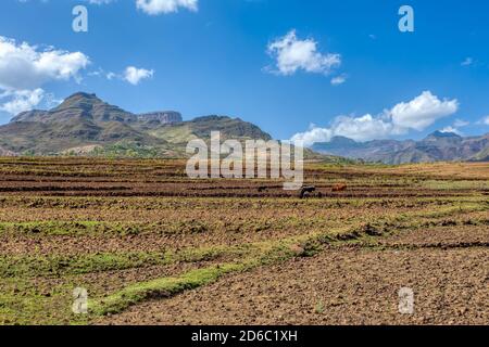 ETHIOPIA, Tigray, road in highland, river Tekeze / AETHIOPIEN, Tigray ...