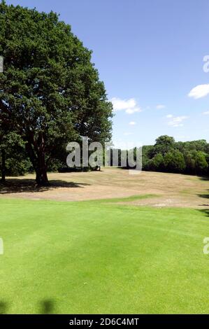 View from the 15th Green of Beckenham Place Park Golf Course, Lewisham ...