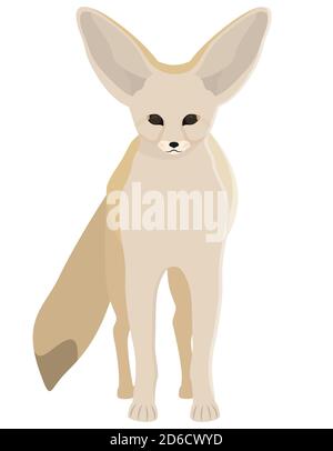 Fox Fenech funny cute cartoon hand drawing, animal character, print ...