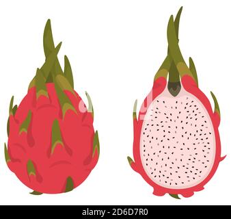 cartoon Pitaya fruit Stock Vector Image & Art - Alamy