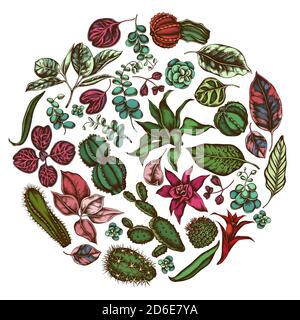 Round floral design with colored ficus, eucalyptus, peony, cotton ...