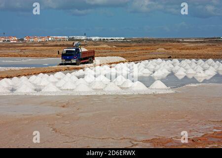 Loading salt in to a truck, harvesting salt Stock Photo - Alamy