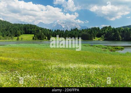 Flower meadows at Geroldsee against Karwendel Mountains, Upper Bavaria ...