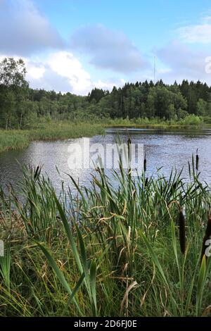 Small blue lake with green grass and wildlife on the Inishmore island ...