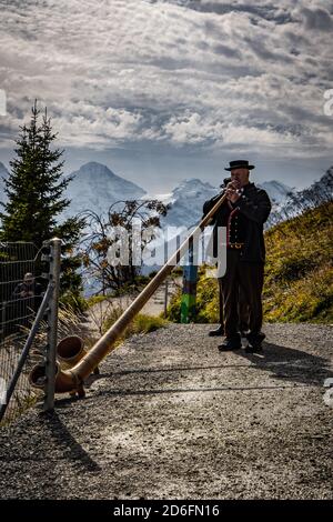 Alp horn traditional alpine wind instrument Stock Photo - Alamy