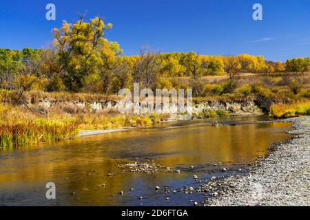 The Pembina River with fall foliage color near Windygates, Manitoba ...