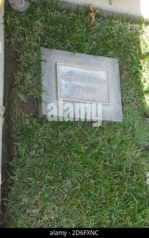 CARRIE HAMILTON (CAROL BURNETT'S DAUGHTER) Credit: Ralph Dominguez/MediaPunch Stock Photo - Alamy