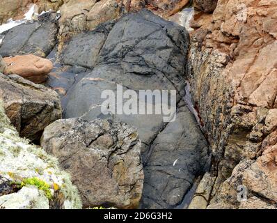 Rocks with oil spill from the sinking of oil tanker MV Prestige in 2002 ...
