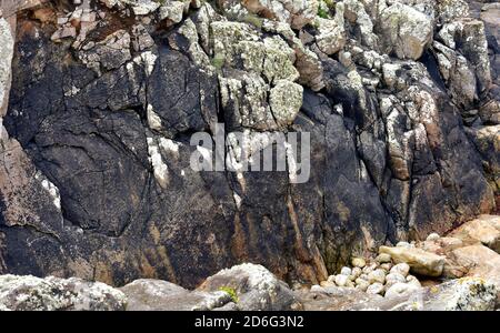 Rocks with oil spill from the sinking of oil tanker MV Prestige in 2002 ...