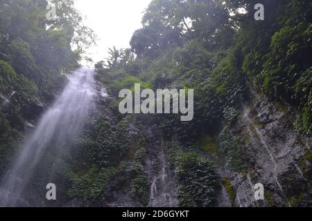 wonderfull rain forest tropis central java ungaran mount indonesia ...