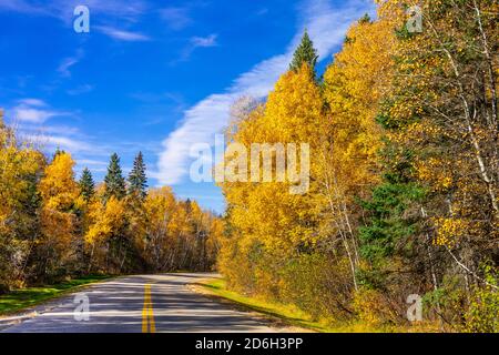 A scenic road witttth fall foliage color through the Buffalo Point ...