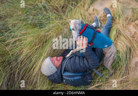 Whippet with its owner enjoying a day at the seaside playing in the ...