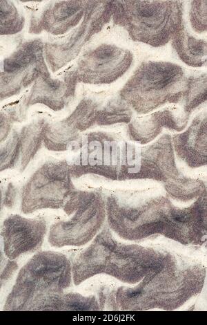 Beach in Graal Mueritz, Mecklenburg Vorpommern, Germany Stock Photo - Alamy