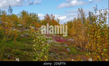 The stunning nature of the Russian north. Tundra, Murmansk region ...