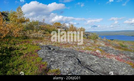The stunning nature of the Russian north. Tundra, Murmansk region ...