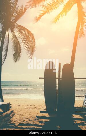 Surfboards beside coconut trees at summer beach with sunset light ...