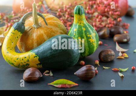 The autumn harvest. Decorative pumpkins and chestnuts fall out of the ...