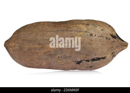 Pecan-nut isolated on white background. Top view Stock Photo - Alamy
