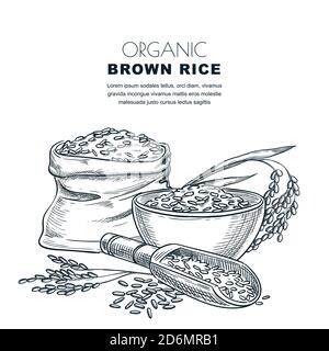 cereal bowl design Stock Vector Image & Art - Alamy