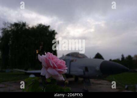 Pink Rose and Fighter Jet Stock Photo - Alamy