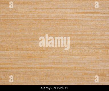 Pine, saturated with stripes of natural light wood close-up. Background ...