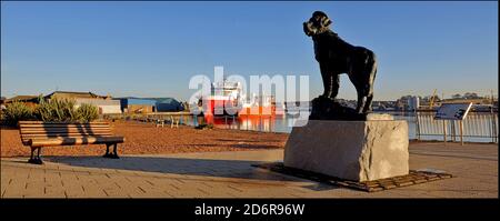 Statue of Bamse a Norwegian St Bernard dog at Montrose harbour, Angus ...