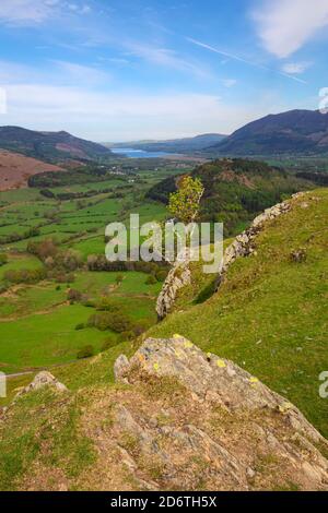 The Newlands Valley and Skiddaw Range from Dale Head, Lake District ...