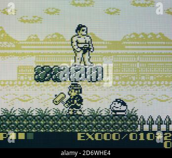 Sumo Fighter - Nintendo Gameboy Videogame - Editorial use only Stock ...