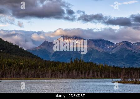A scenic view of a tranquil lake surrounded by green trees in a park ...
