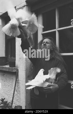 Jean Cooke RA Stock Photo - Alamy