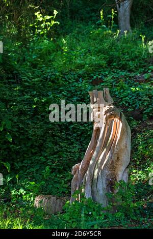 Garden Wizard carving with green wood background and beautiful filtered ...