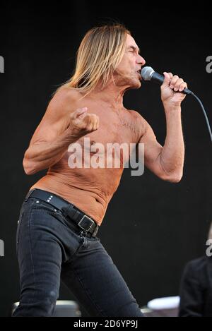 Iggy Pop performing on stage during the Festival Les Deferlantes ...