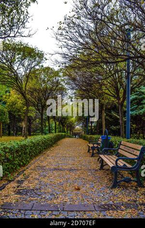 Ankara, Turkey. 20th Oct, 2020. People chat under a tree at Segmenler ...
