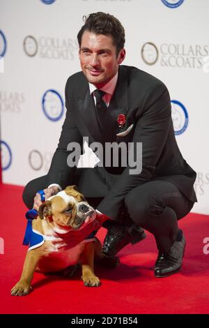 David Gandy attending the Battersea Dogs and Cats Home Collars and ...