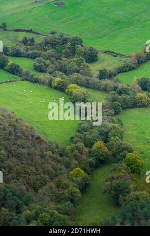 Countryside in the Angulo Valley of the Mena Valley in the Merindades ...
