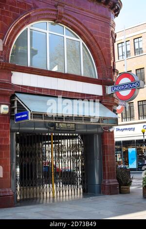 The Underground Garden, a cafe restaurant in Fier, Albania, Using the ...