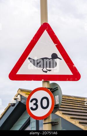 TRAFFIC SIGN WARNING DUCK CROSSING ON ROAD Stock Photo - Alamy