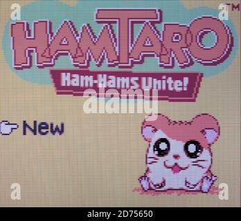 Hamtaro - Nintendo Game Boy Color Videogame - Editorial use only Stock ...