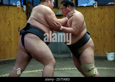 Japanese Sumo wrestlers training inside a traditional Sumo stable in ...