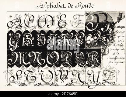Alphabet of initial letters in foliage from a French manuscript of 15th ...