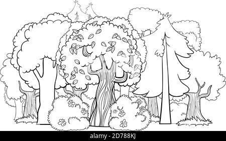 Cartoon Illustration of mixed Forest with Deciduous and Coniferous ...