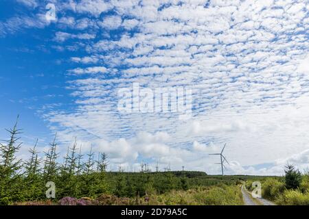 Mackrel sky, clouds over the wind turbines at Knockduff windfarm near ...